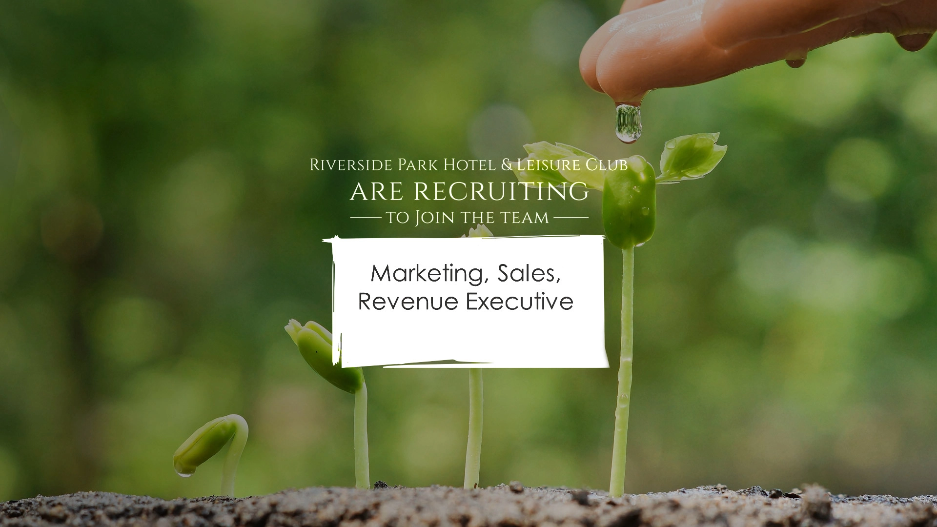 Front Office Assistant Manager | Front Office Jobs | Riverside Park Hotel