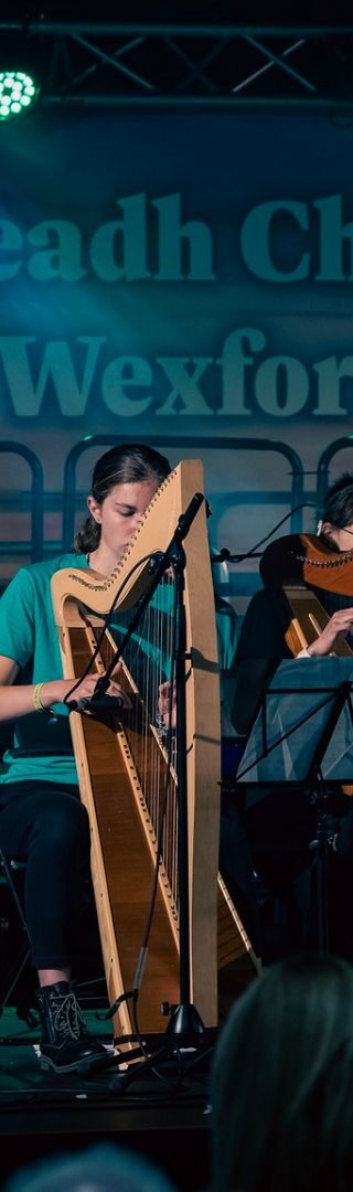 Fleadh Cheoil Wexford Accommodation | Riverside Park Hotel